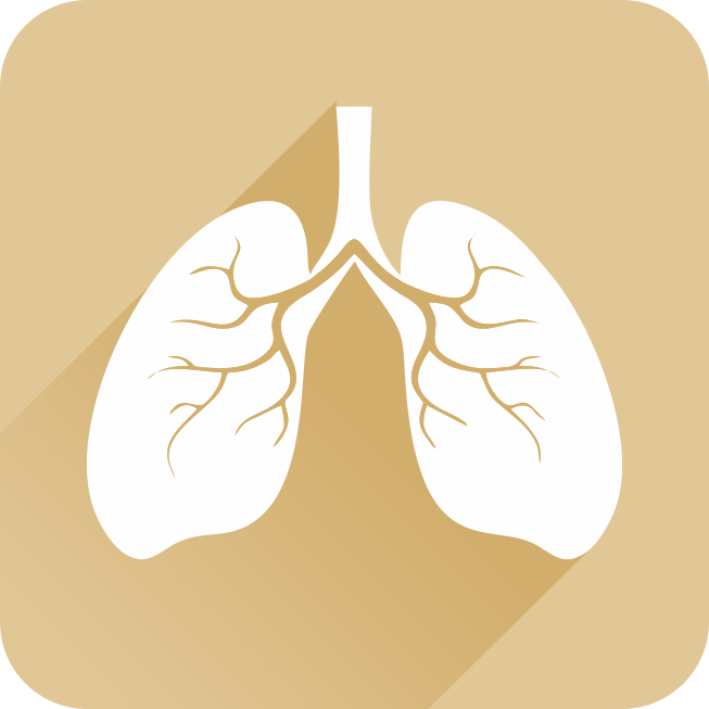 Respiratory Health Support - Selco Research Laboratories